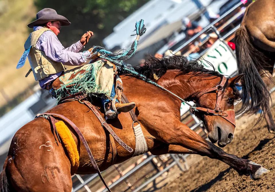 America 250 | Travel South Dakota